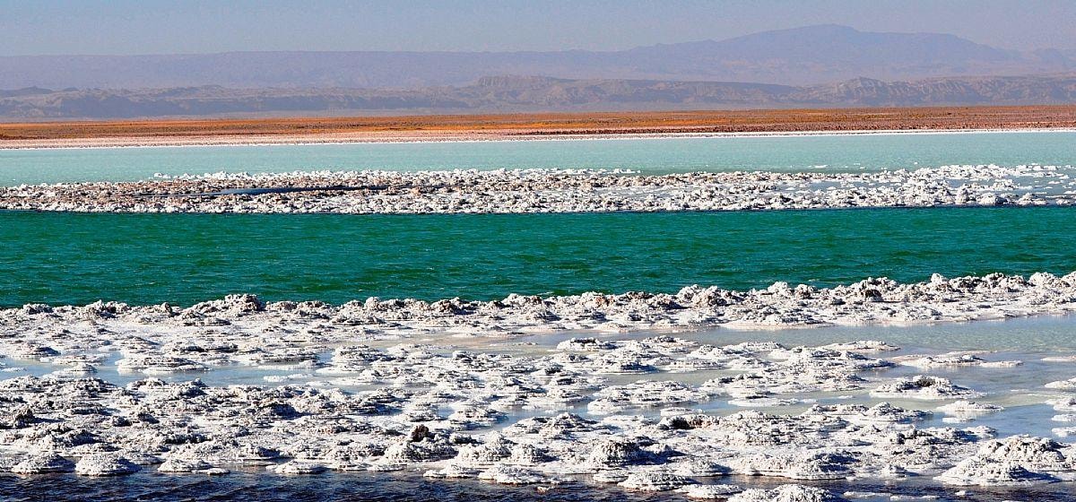 LAGUNA DE CEJAR, OJOS DEL SALAR Y LAGUNA DE TEBINQUINCHE | GetYourGuide