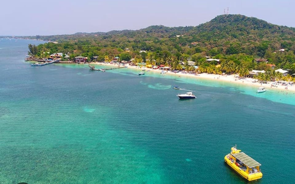 Roatán Barco con fondo de cristal + Excursión por la isla | GetYourGuide