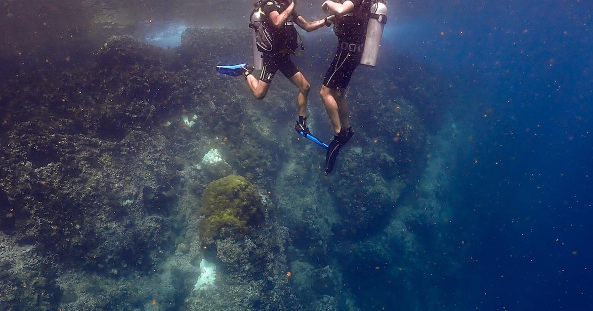 Koh Samui: Discovery Dive to Koh Tao or Sail Rock | GetYourGuide