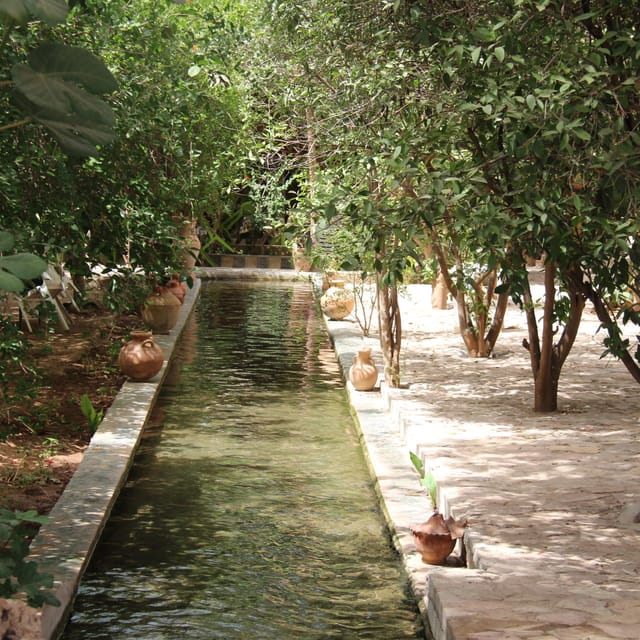 Desde Agadir: Excursión de un día a Taroudant y el Oasis de Tiout ...