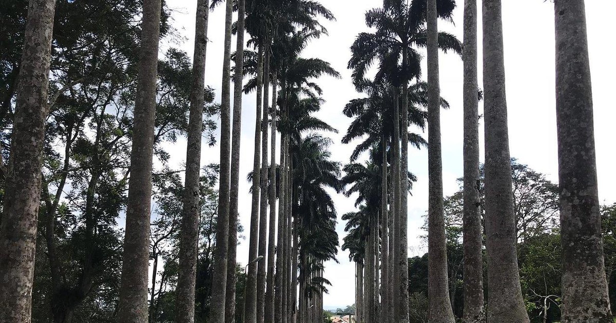 ONTDEK DE NATUUR OP ZIJN BEST | GetYourGuide