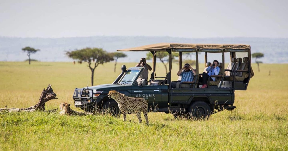 Excursions d'une journée au parc national de Nairobi et à l'orphelinat des éléphants | GetYourGuide