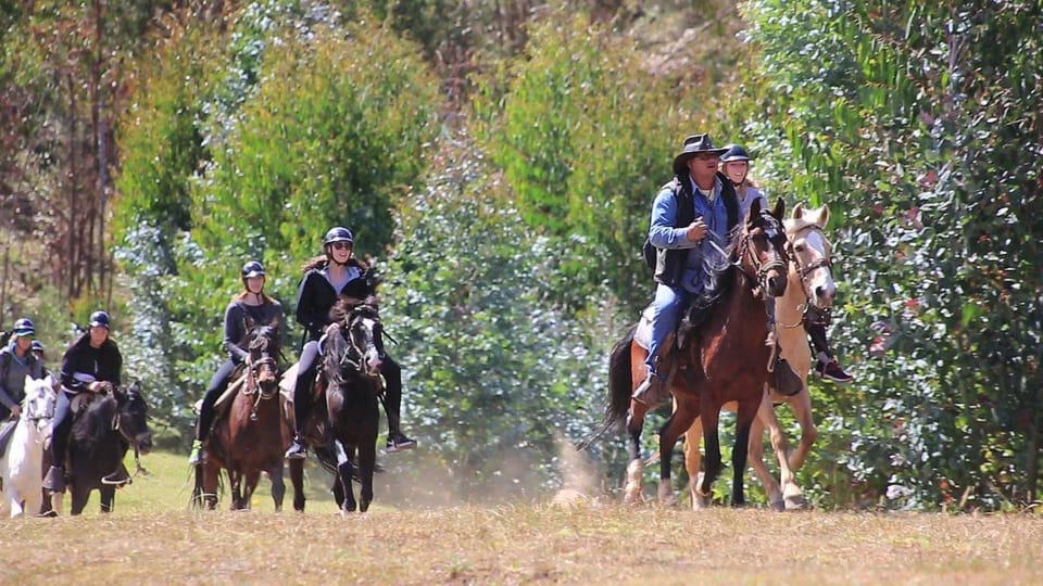 Horseback ride to the Temple of the Moon and Chacan Mountain | GetYourGuide