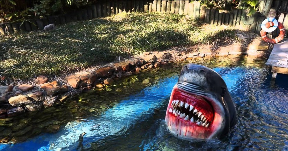 Houston Tour and Aquarium Ticket | GetYourGuide