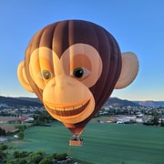 Hot air balloon ride in Provence - 2026 (Verified Reviews)