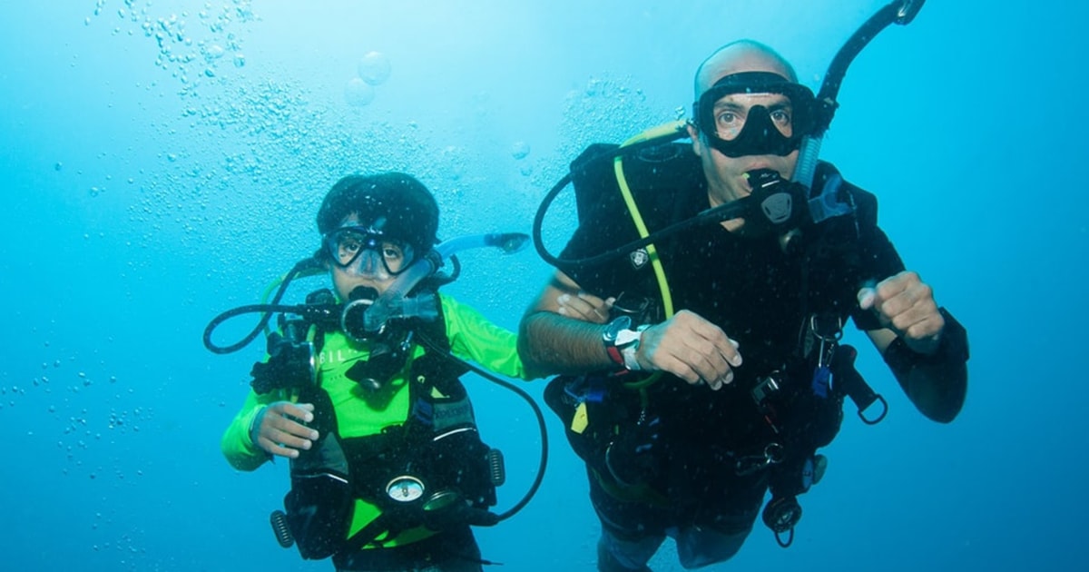 Puerto Vallarta: Duikexpeditie bij El Malinal | GetYourGuide