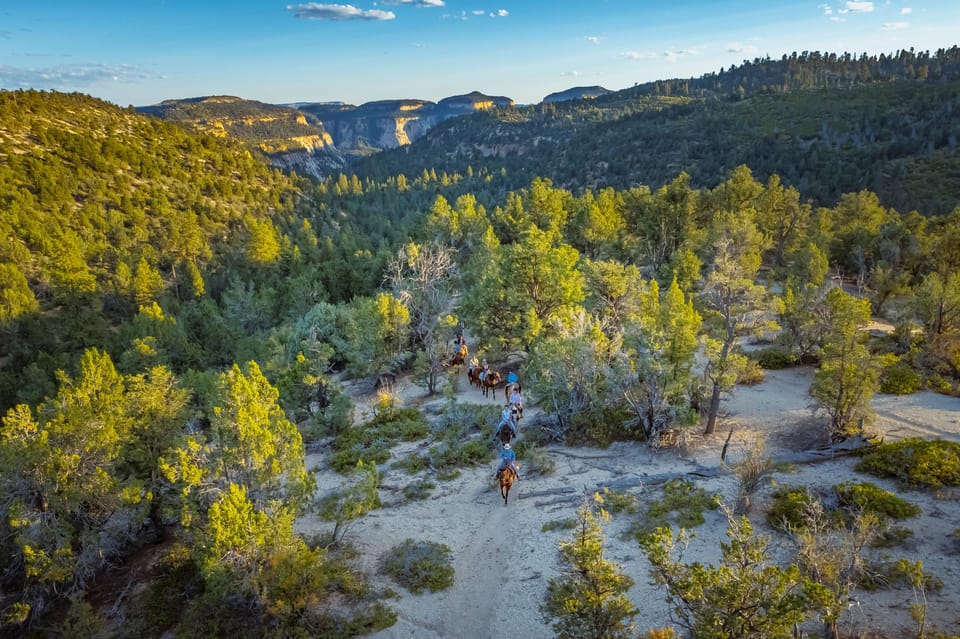 Orderville: Checkerboard Mesa Guided Sunset Horseback Ride | GetYourGuide