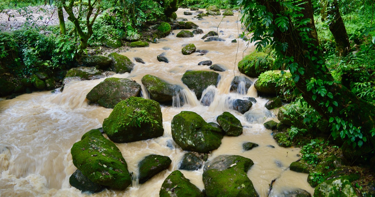 Wanderung von Sundarijal nach Chisapani | GetYourGuide