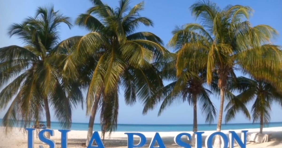 All Day Passion Island Tour (Cozumel) | GetYourGuide