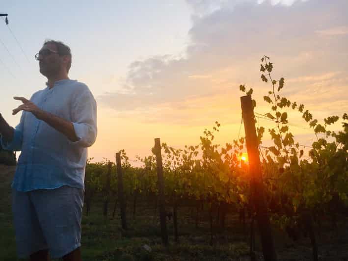 TOSCANA -Guided Tour, Wine Tasting, and Local/Syrian Bites | GetYourGuide