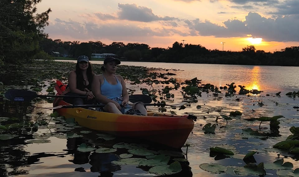 Orlando: Sunset guided kayaking tour | GetYourGuide