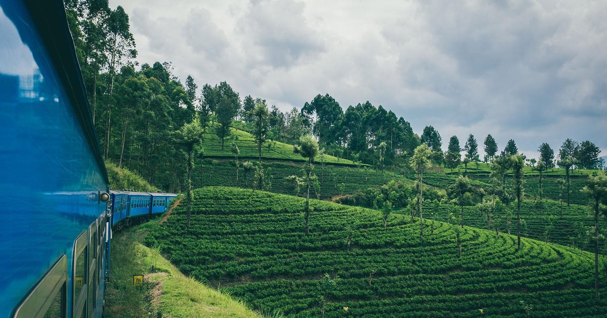 Kandy: First-Class Train to Nuwara Eliya with Reserved Seats | GetYourGuide
