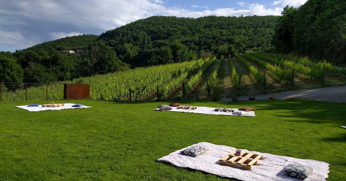 MONTEPULCIANO - PIC NIC COM VINHO! CERCADO POR VINHEDOS | GetYourGuide