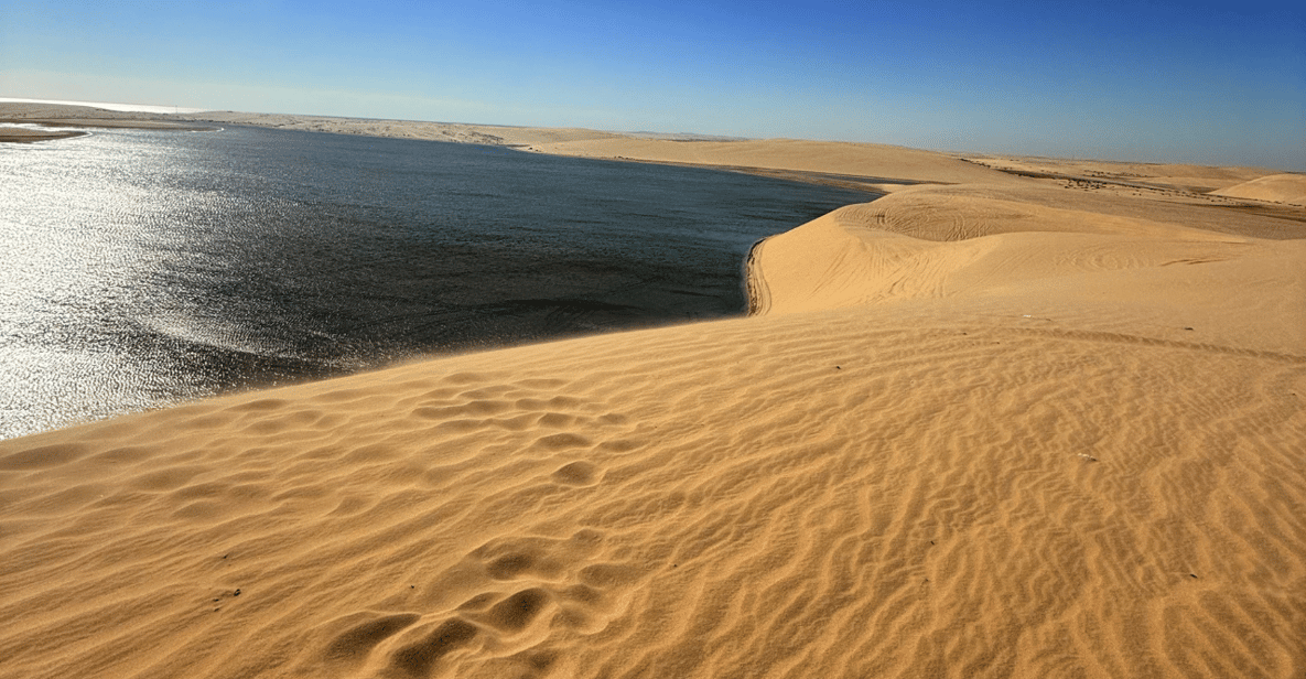 Doha: Pustinjski safari s četverociklom, devama i obilazak kopnenog ...