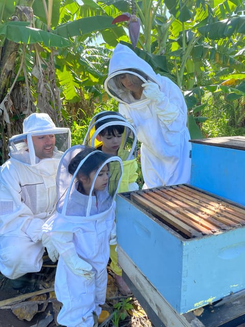 Bee Farm Tour & Honey Tasting | GetYourGuide