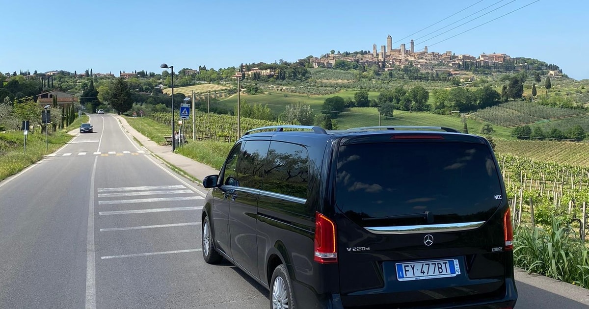 Tasting in a Tuscan Vineyard with transfer from Pisa | GetYourGuide