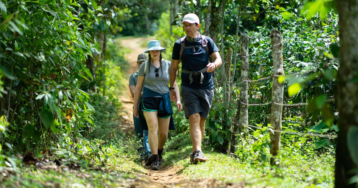 Cali: Senderismo a las cascadas de Pance | GetYourGuide