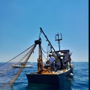 Traditional fishing boat tour | GetYourGuide