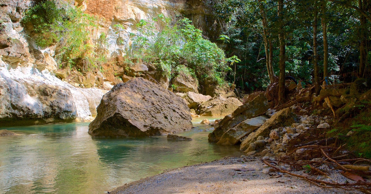 Punta Cana Paradise: Samaná Escape & El Limon Waterfall | GetYourGuide