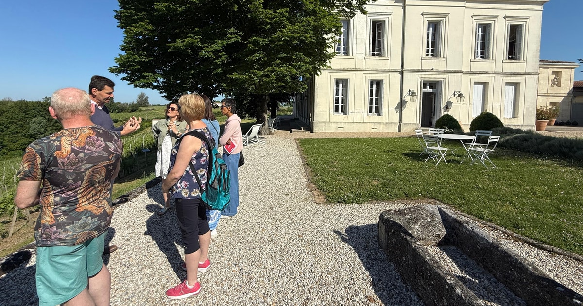 Exclusive Wine Tour of the St-Émilion Chateaux with tastings | GetYourGuide