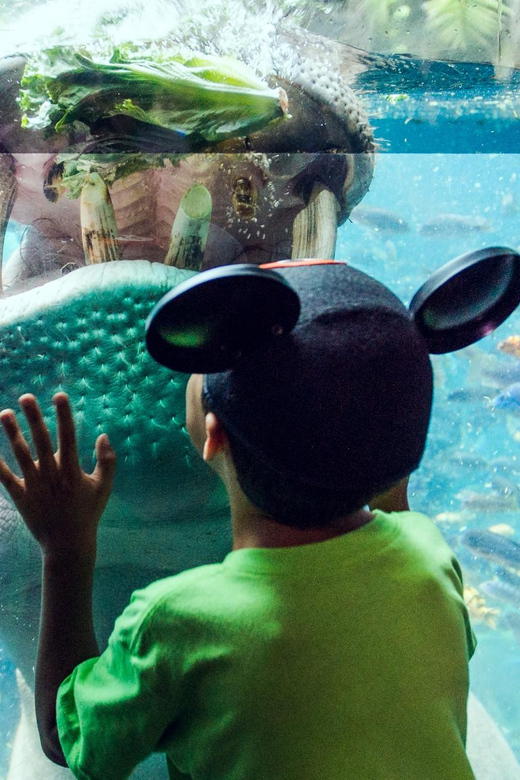 No se puede reservar esta actividad desde tu ubicación