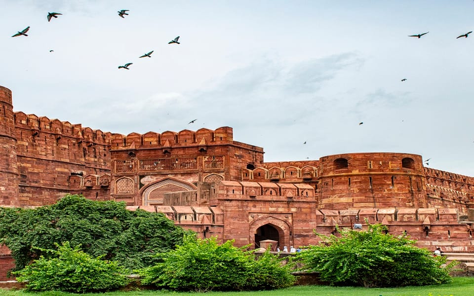Agra: Taj Mahal Sunrise & Agra Fort Tour With Expert Guide | GetYourGuide