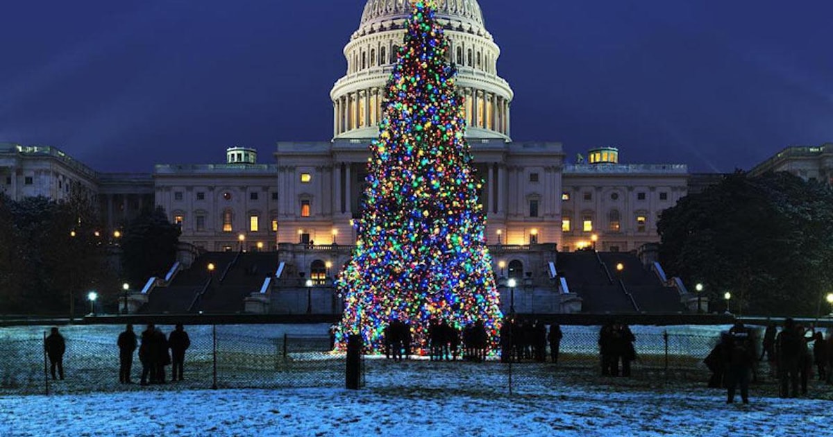 Washington, DC: National Mall and Memorials Moonlight Tour | GetYourGuide