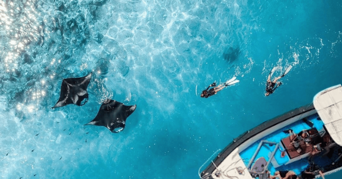 Nusa Penida : Visite d'une jounée avec plongée en apnée à Manta Point ...