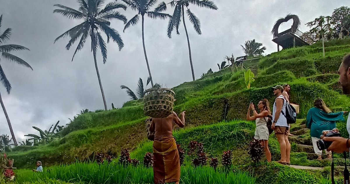 Bali : Highlighted Ubud Exclusive Discovery Private Tours | GetYourGuide