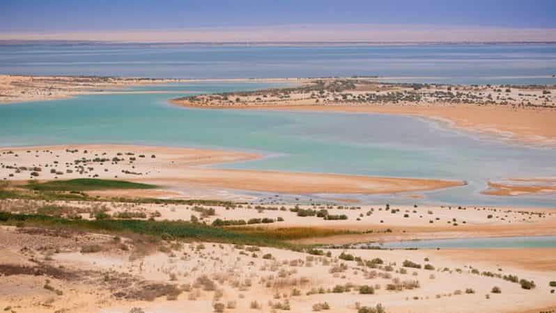 Cairo: Fayoum, Wadi El Rayan, and Wadi al Hitan 4x4 Tour | GetYourGuide