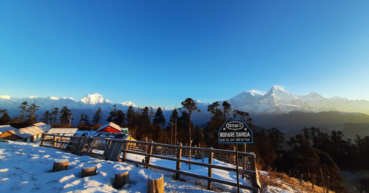 Mohare Danda Trek - 8 Days | GetYourGuide
