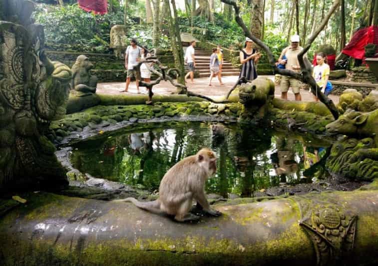 Bali: Blue Lagoon Snorkeling with Optional Sightseeing Tour | GetYourGuide