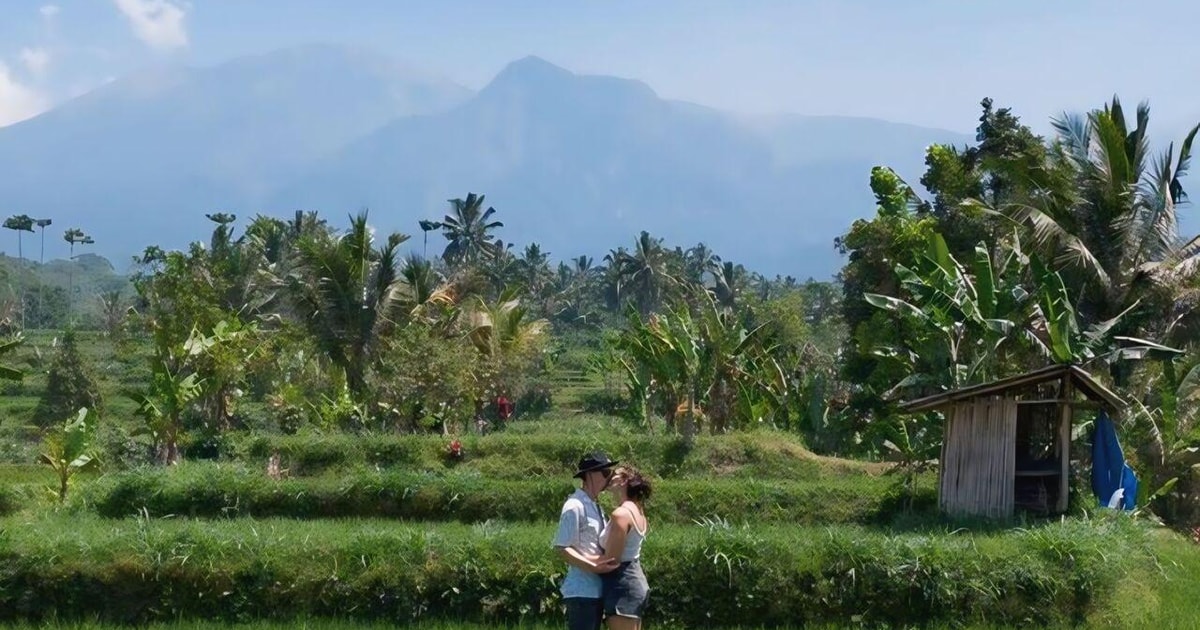 Tetebatu : Walk on Rice Terrace, Waterfall and Black Mongky | GetYourGuide