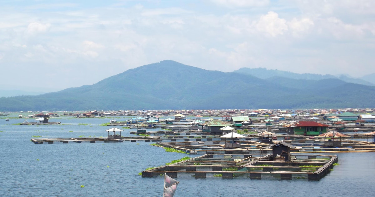 Cianjur : Floating Village, Boat Ride, Floating house | GetYourGuide