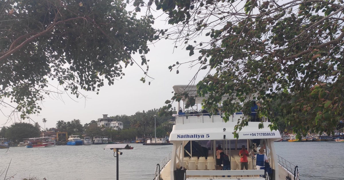Mirissa: Sunset Whale Watching Boat Tour with Music | GetYourGuide
