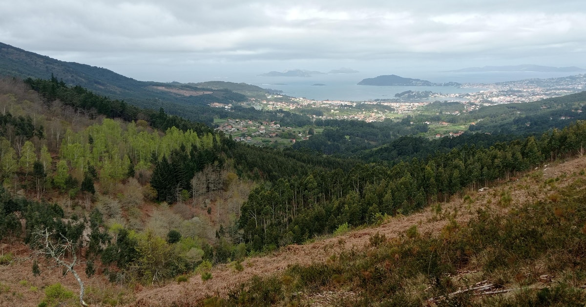 Gallaecian-Roman gold mining in Serra da Groba Tour | GetYourGuide