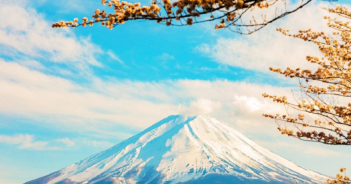 Tokio: Excursión de 1 día a la 5ª Estación del Monte Fuji, Oshino ...