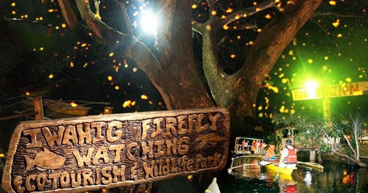 Puerto Princesa Firefly Watching (gemeinsame Tour) | GetYourGuide