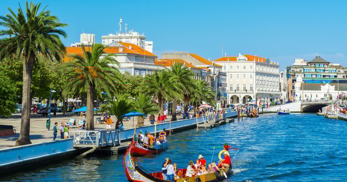 Aveiro: tour di mezza giornata da Porto con crociera opzionale ...