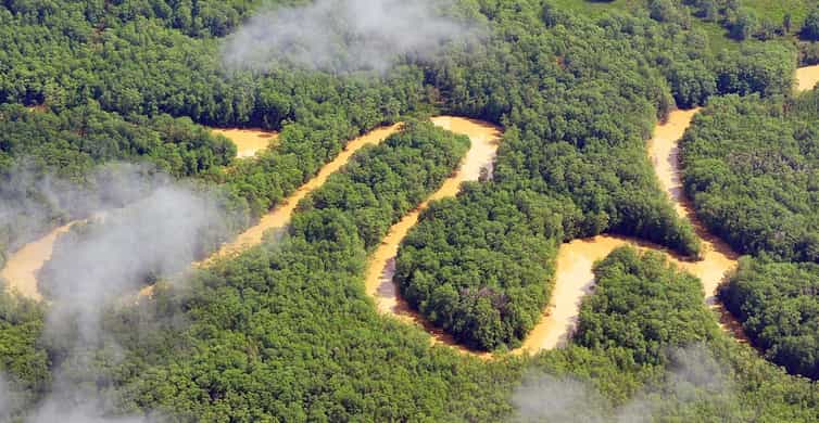Costa Rica Mangrove Tour: Terraba National Wetlands - Uvita | GetYourGuide