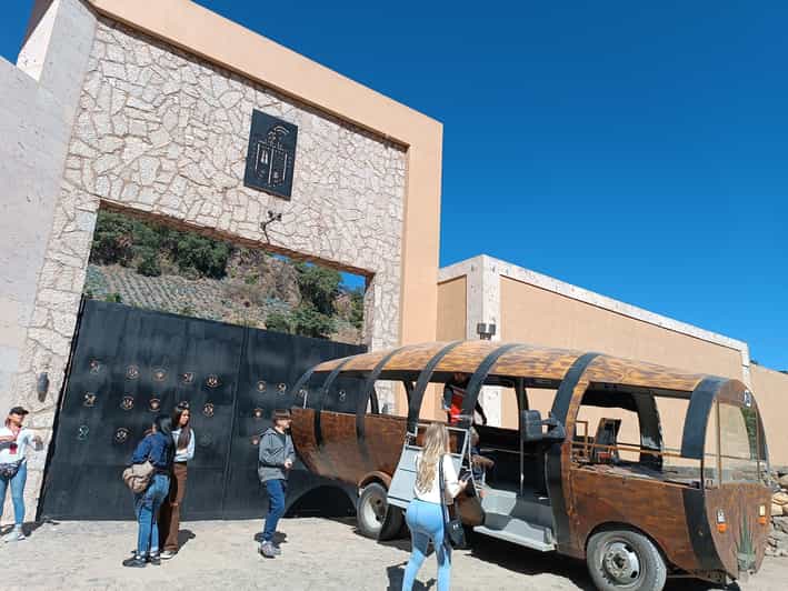 Five-star factory: Meet Orendain tequila. | GetYourGuide