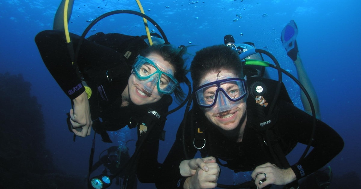 Lahaina: Schnuppertauchen am Riff Kaanapali für starke Schwimmer | GetYourGuide