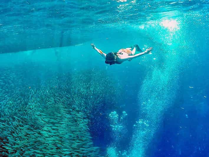 South Cebu: Sardines Run and optional Canyoneering Adventure | GetYourGuide