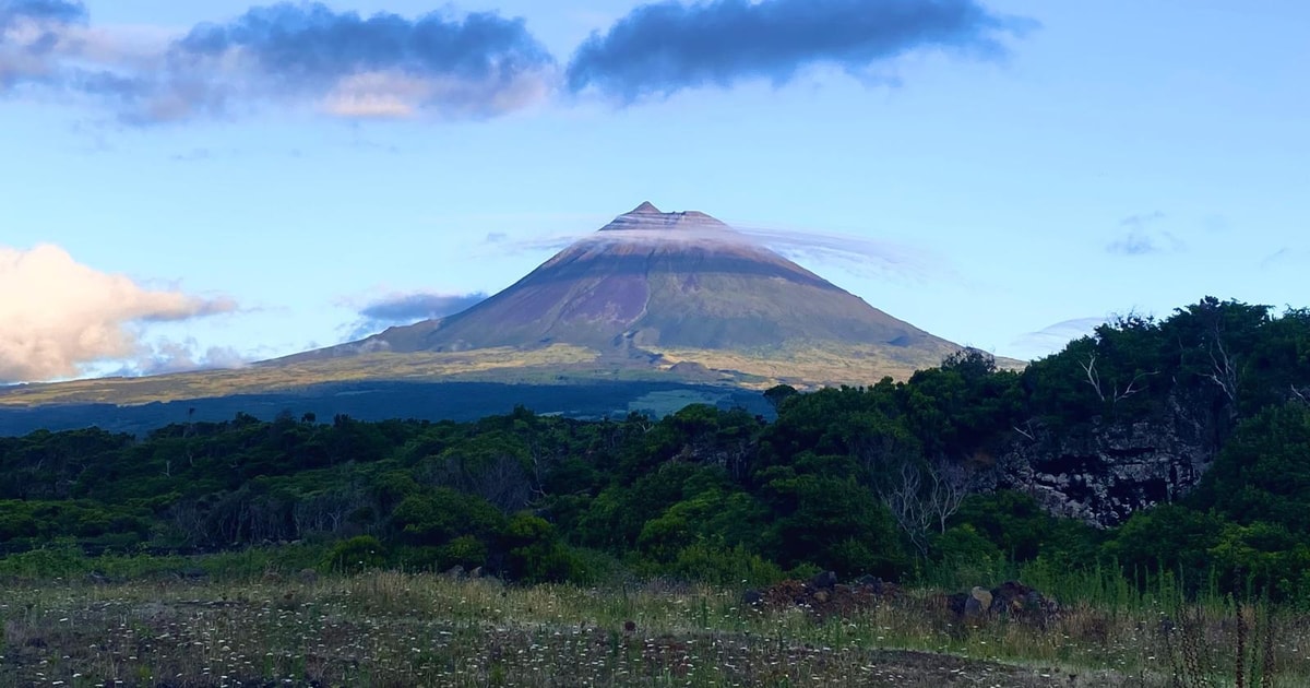 Pico: Descubra a ilha em 1 dia - O que você deve ver no Pico | GetYourGuide