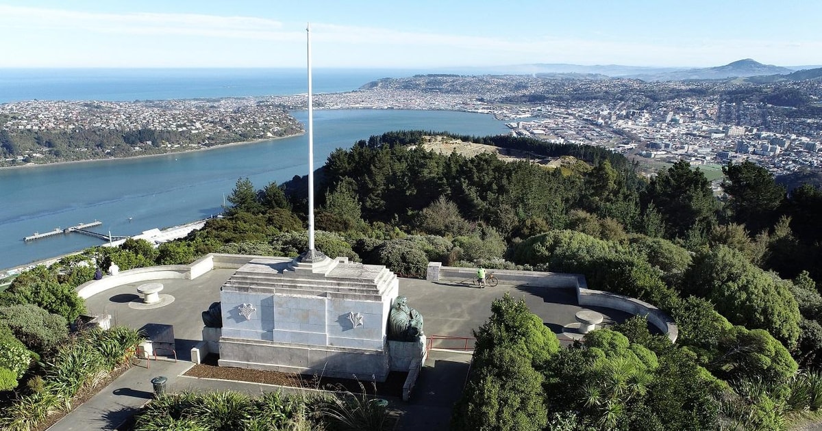 Dunedin City & Otago Peninsula Scenery Day Tour | GetYourGuide