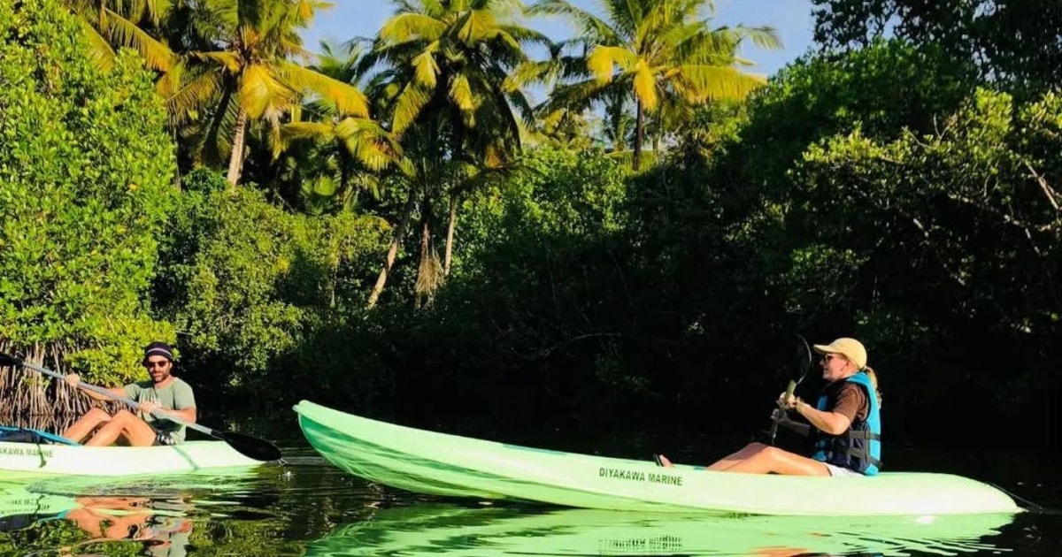 Colombo/Negombo: Galle Fort, Koggala Lake Safari & Kayaking | GetYourGuide