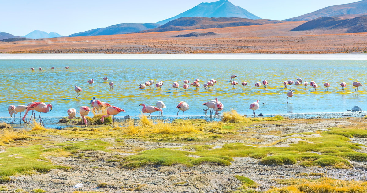 Uyuni Salt Flats and Red Lagoon 3-Days | English in Guide | | GetYourGuide