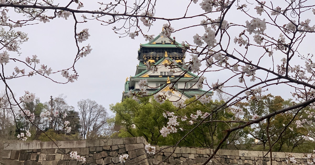 Osaka: 3 horas de visita a lugares emblemáticos com guia de turismo ...