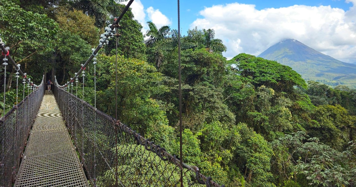 Mistico Hanging Bridges + Transportation + Naturalist Guide | GetYourGuide
