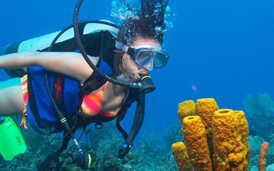 Excursión de snorkel desde la playa de Polhena, Matara, Sri Lanka ...